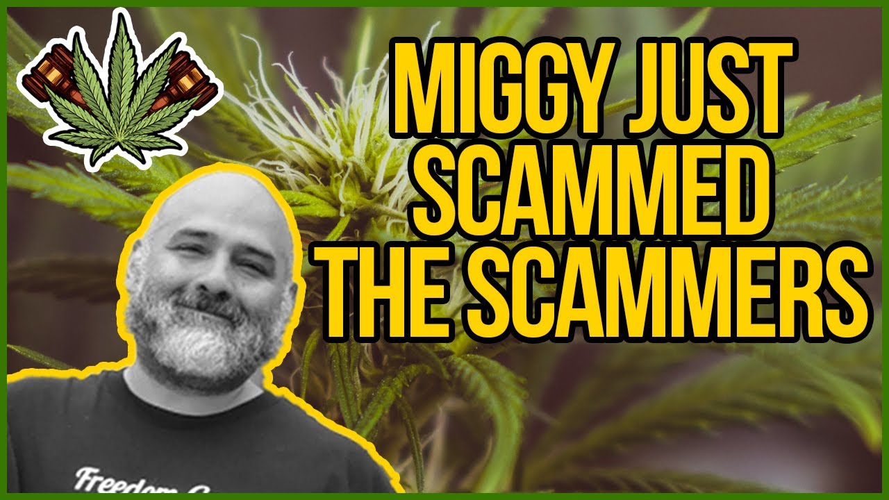 How to Troll Dispensary Scammers - Cannabis Legalization News | Federal ...