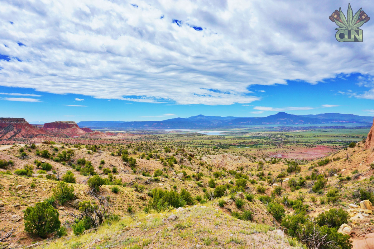 New Mexico Starts Accepting Cannabis Grower Applications