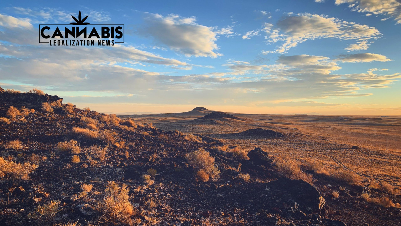 New Mexico's Historic Opening Weekend of Cannabis Sales | New Mexico ...