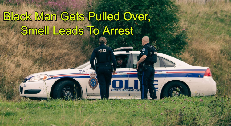 Black Man Gets Pulled Over, Smell Leads To Arrest - Cannabis ... Black Man Gets Pulled Over, Smell Leads To Arrest - Cannabis ...